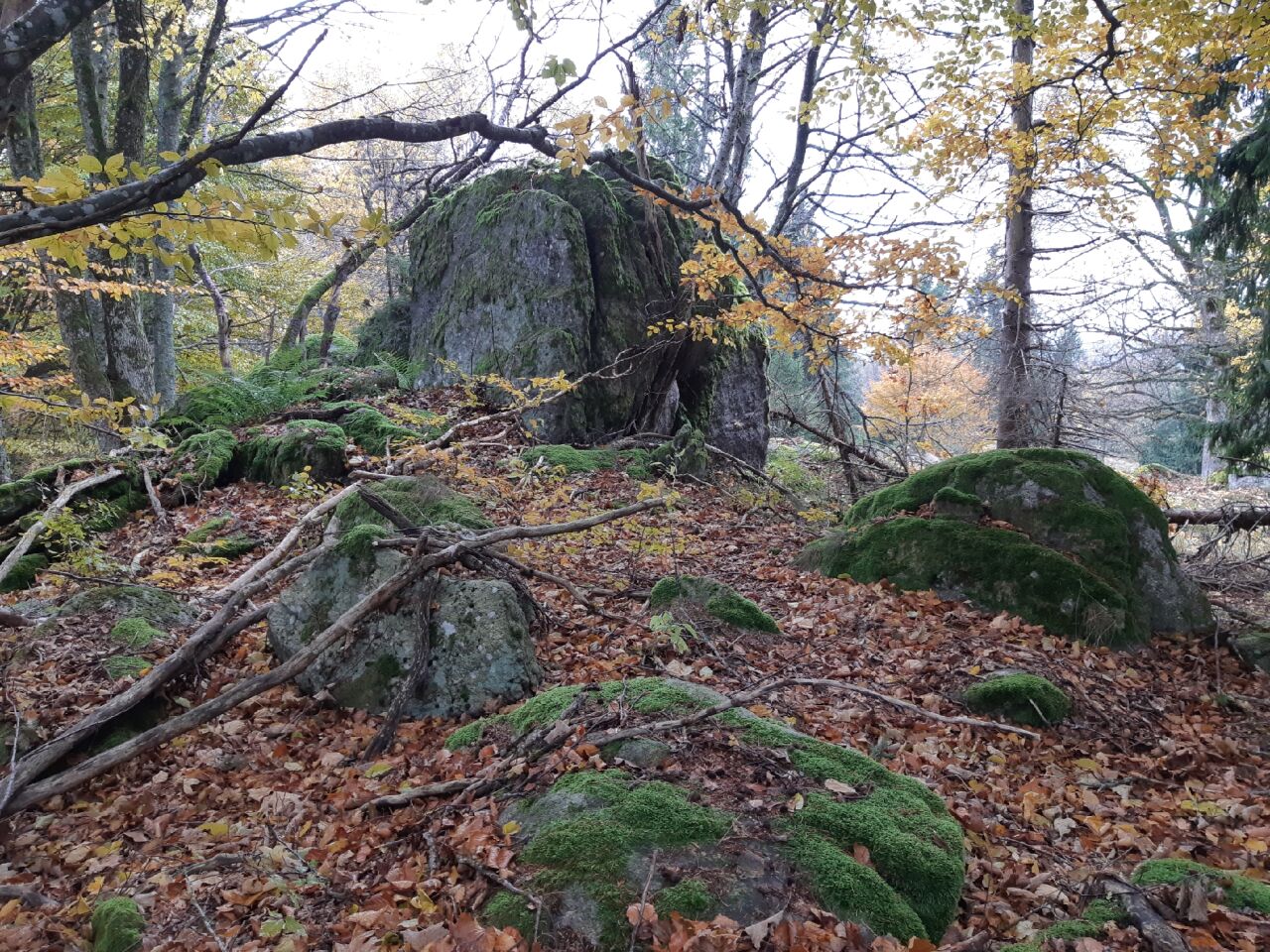 Kamenná hlava (986 m) - Šumava | Hory.app