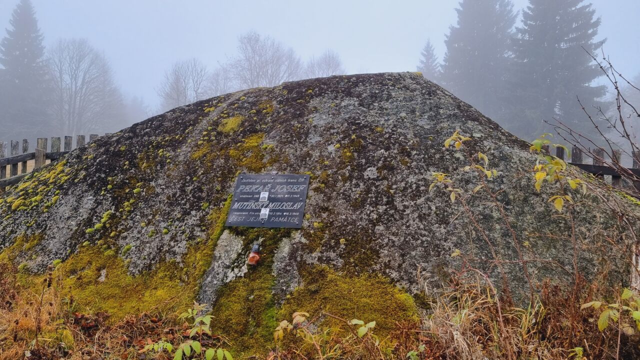 Kamenná hlava (986 m) - Šumava | Hory.app